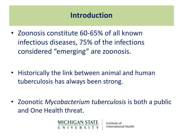 Human-to-Bovine M. Tuberculosis Transmission A Reverse Zoonosis