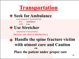 Human Transportation | PPTX