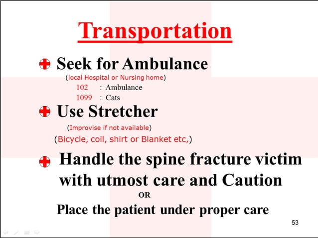 Human Transportation | PPTX