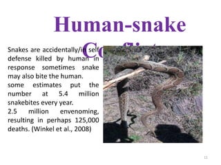 human-wildlifeconflict-140828003954-phpapp02-170501045643 (1).pdf