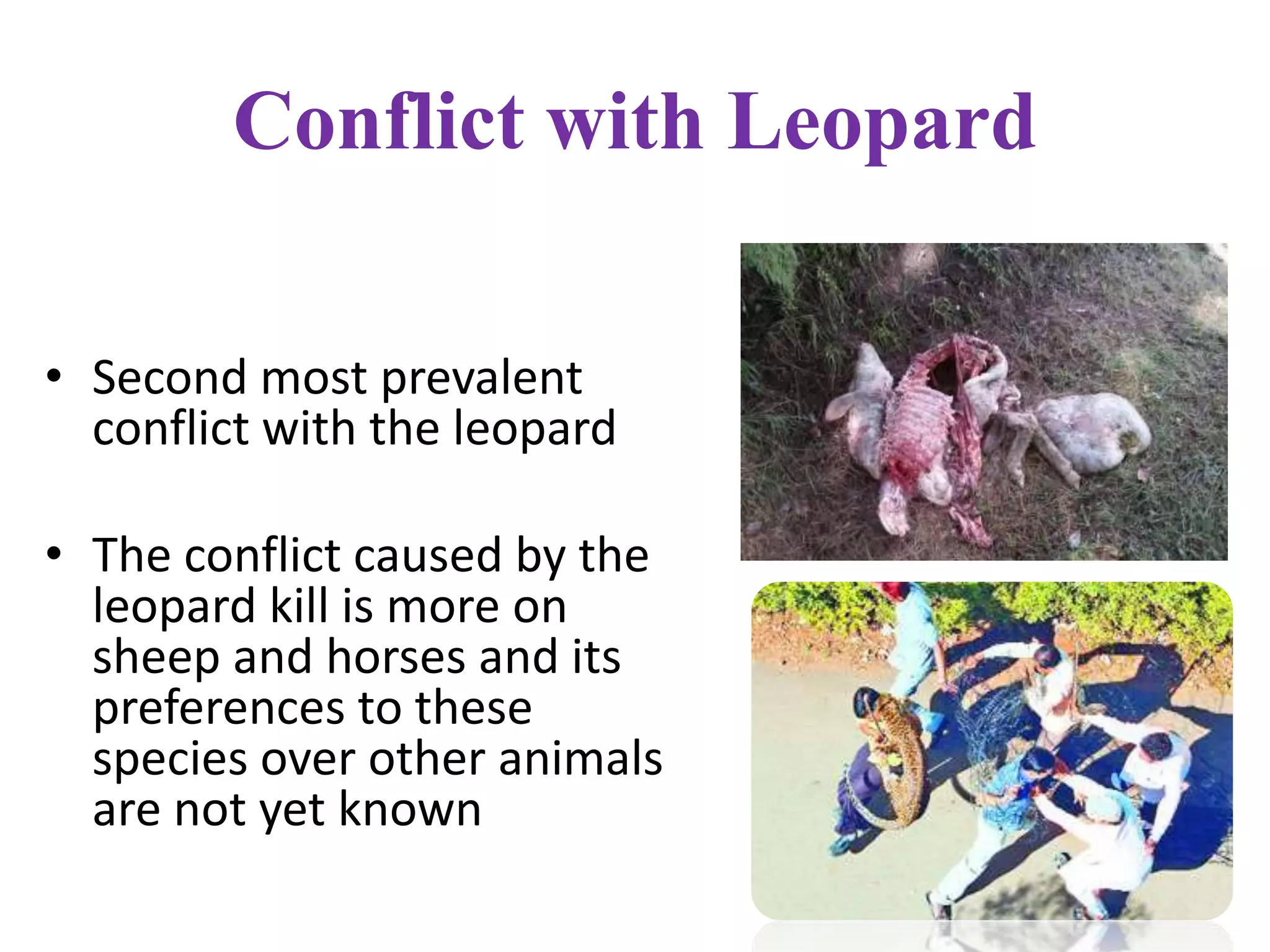 human-wildlifeconflict-140828003954-phpapp02-170501045643 (1).pdf
