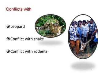 human-wildlifeconflict-140828003954-phpapp02-170501045643 (1).pdf