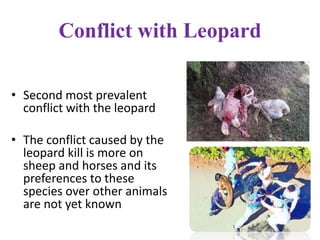 human-wildlifeconflict-140828003954-phpapp02-170501045643 (1).pdf