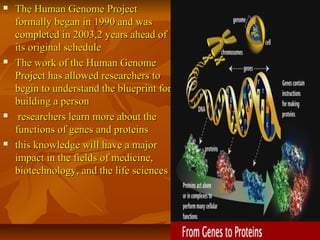 Human Genome Project | PPT