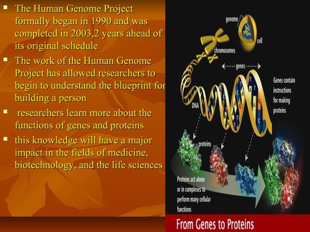 Human Genome Project | PPT | Biological Sciences | Science