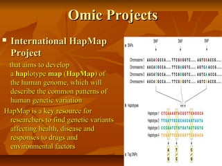 Human Genome Project | PPT