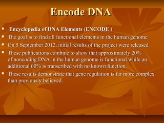 Human Genome Project | PPT