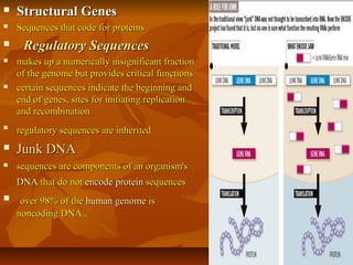 Human Genome Project | PPT