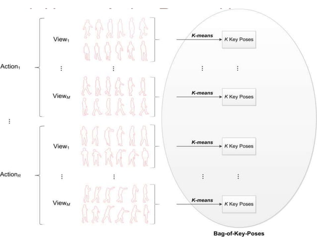 Human Action Recognition Optimization Based On Evolutionary Feature