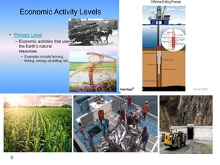 HUMAN ACTIVITIES primary secondary tertiary.pptx