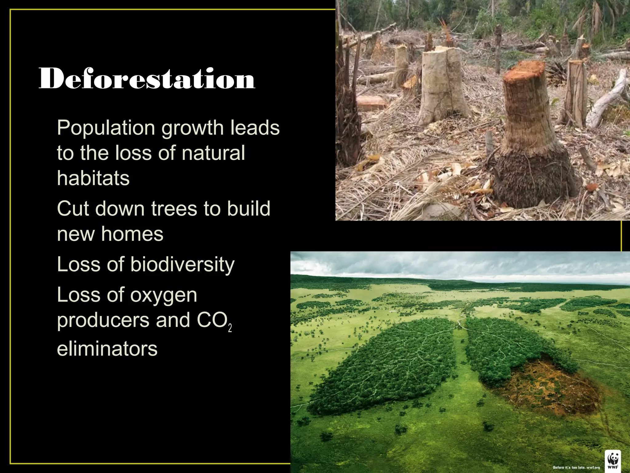 Human activities and impact on environment | PPT