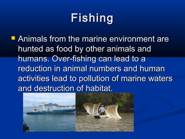 Human activities and natural resources | PPT