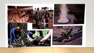 HUMAN ACTIVITIES THAT AFFECT EARTH’S LAND AND WATER.pptx