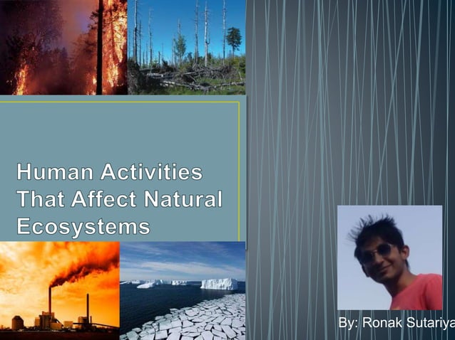 Human activities that affect natural ecosystems | PPTX