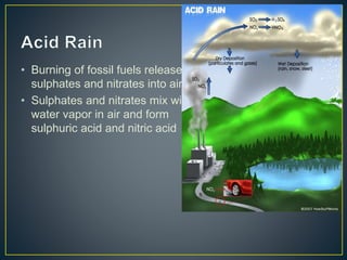 Human activities that affect natural ecosystems | PPTX