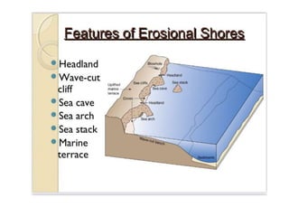 HUMAN ACTIVITY AND COASTAL EROSION – PRECEPTION of adjustment to ...