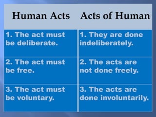 Human Acts | PPTX