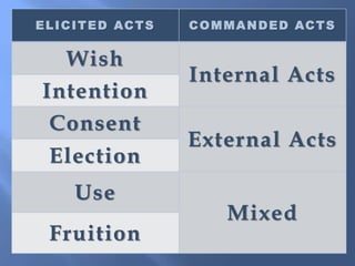 Human Acts | PPTX
