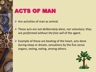 Human Acts.ppt