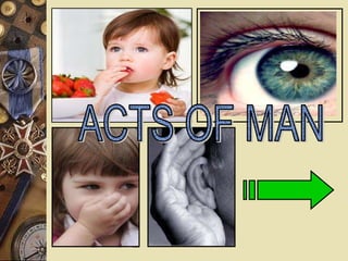 Human Acts.ppt