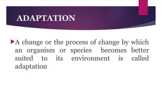 Human Adaptation,SOCIAL,CUTURAL ENVIRONMENT.pptx