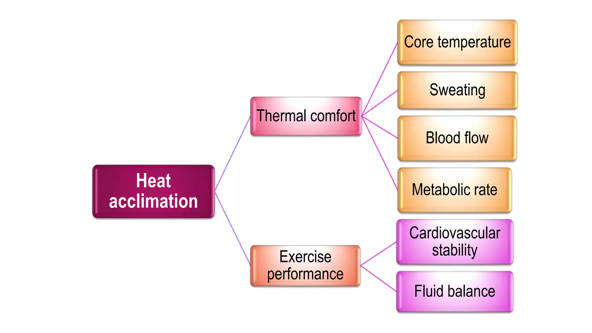 Human Adaptations to Environmental Changes | PPTX