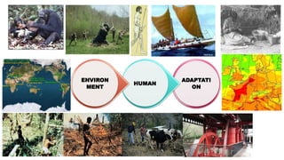 Human Adaptations to Environmental Changes | PPTX