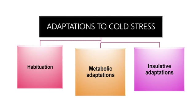 Human Adaptations to Environmental Changes | PPTX