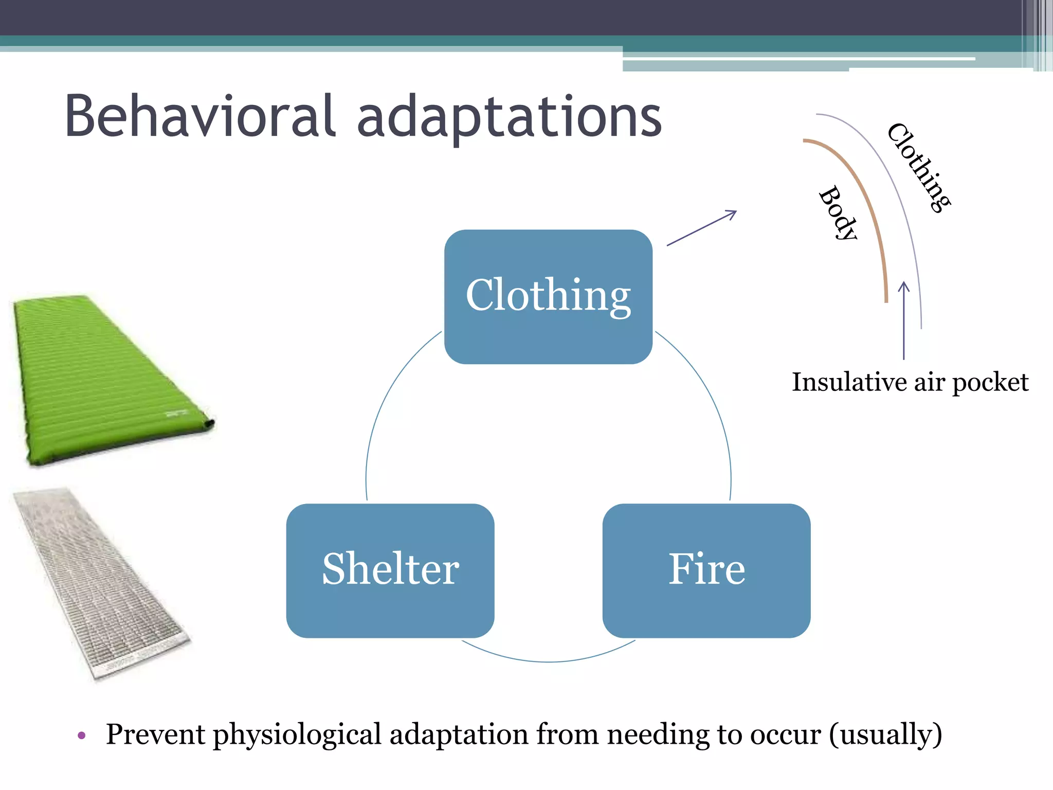 Human adaptation to cold exposure | PPTX