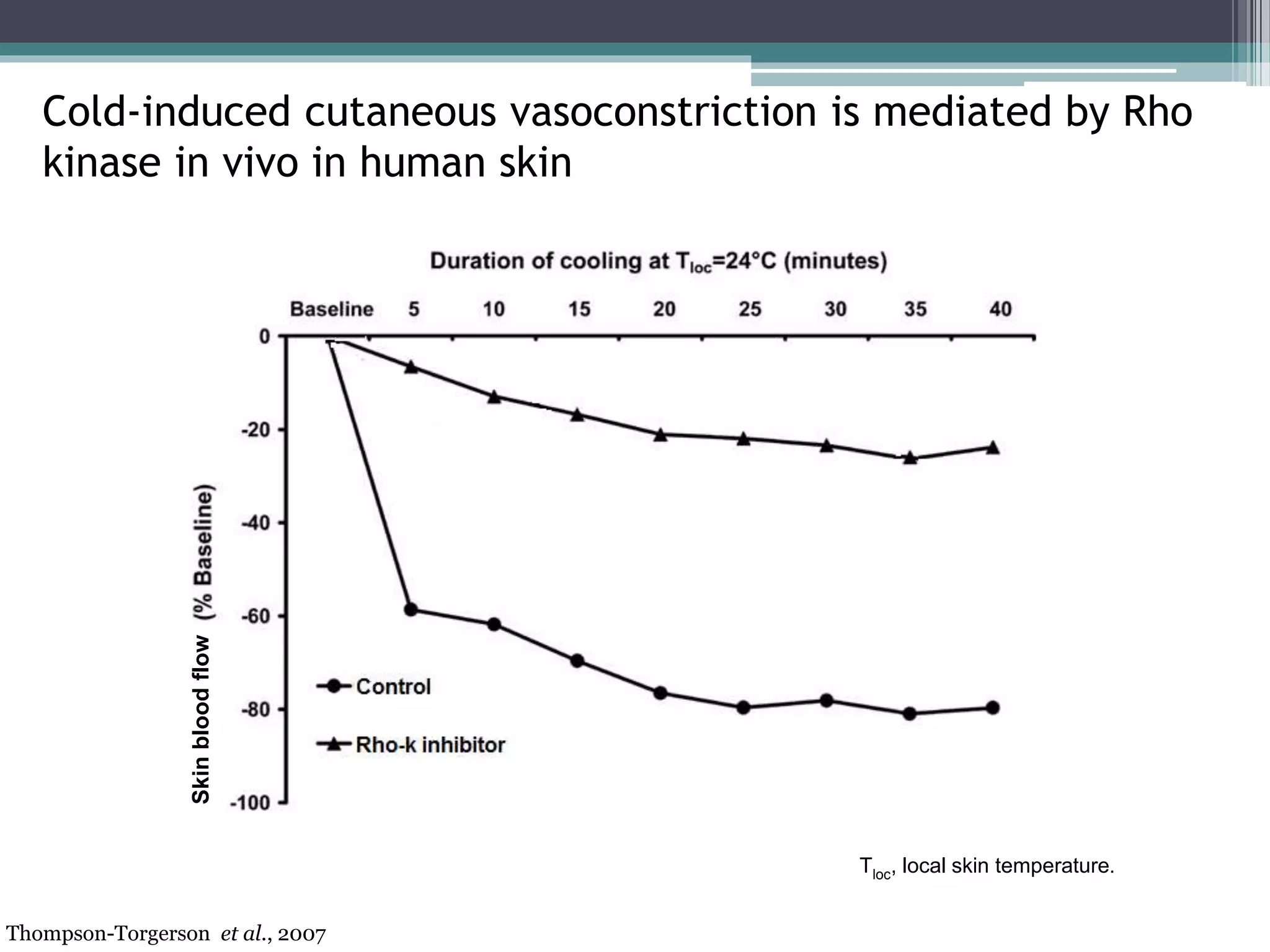 Human adaptation to cold exposure | PPTX