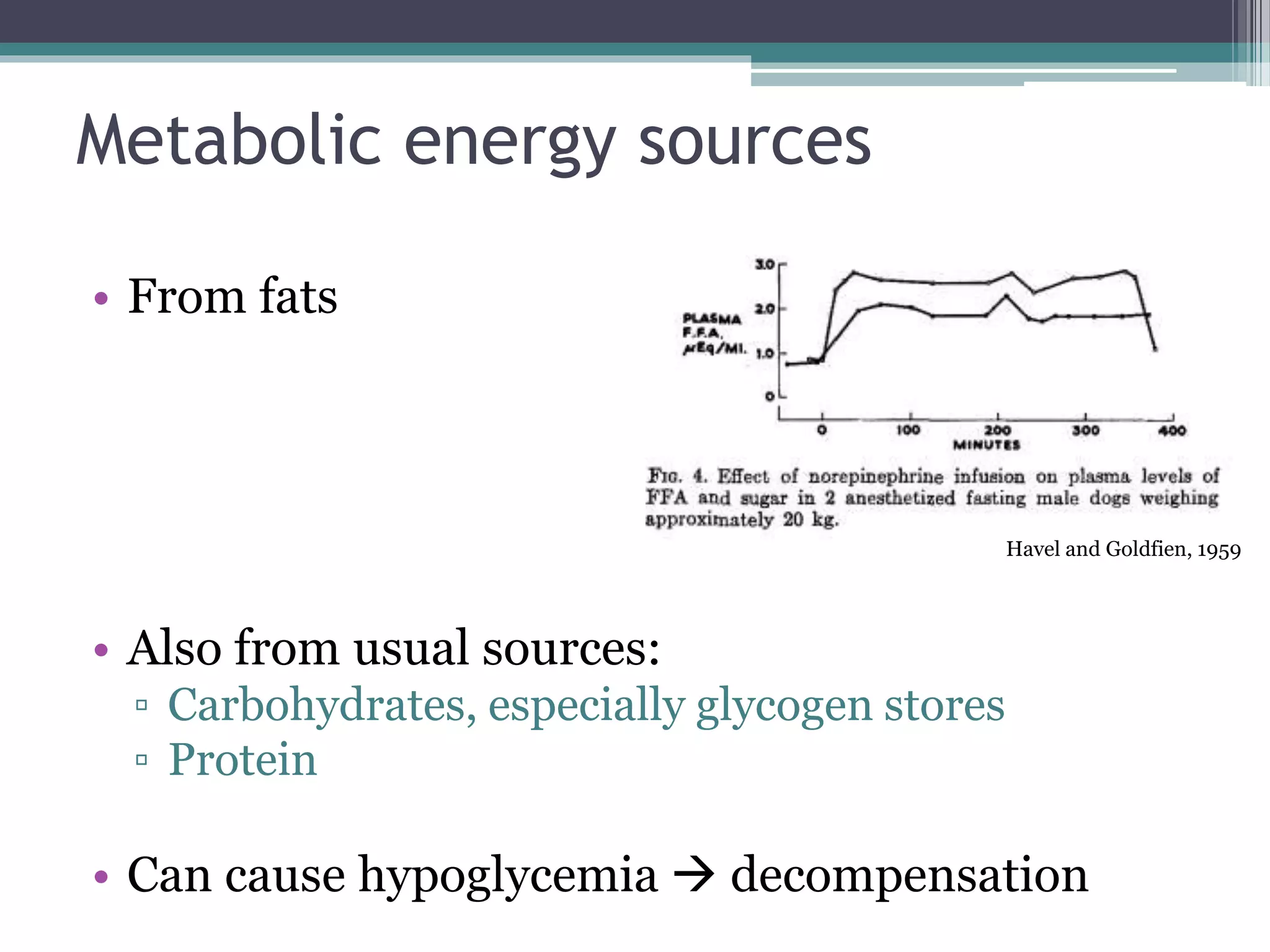 Human adaptation to cold exposure | PPTX