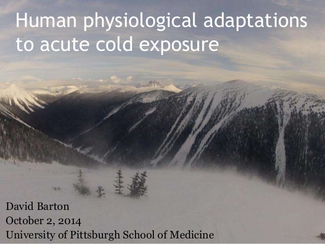 Cold Adaptations In Humans | Human cold habituation: Physiology ...