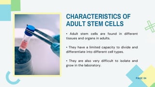 Human Adult Versus Embryonic Stem Cells | Dr David Greene R3 Stem Cell ...