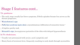 Human african trypanosomiasis | PDF | Infectious Diseases | Diseases ...