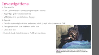 Human african trypanosomiasis | PDF