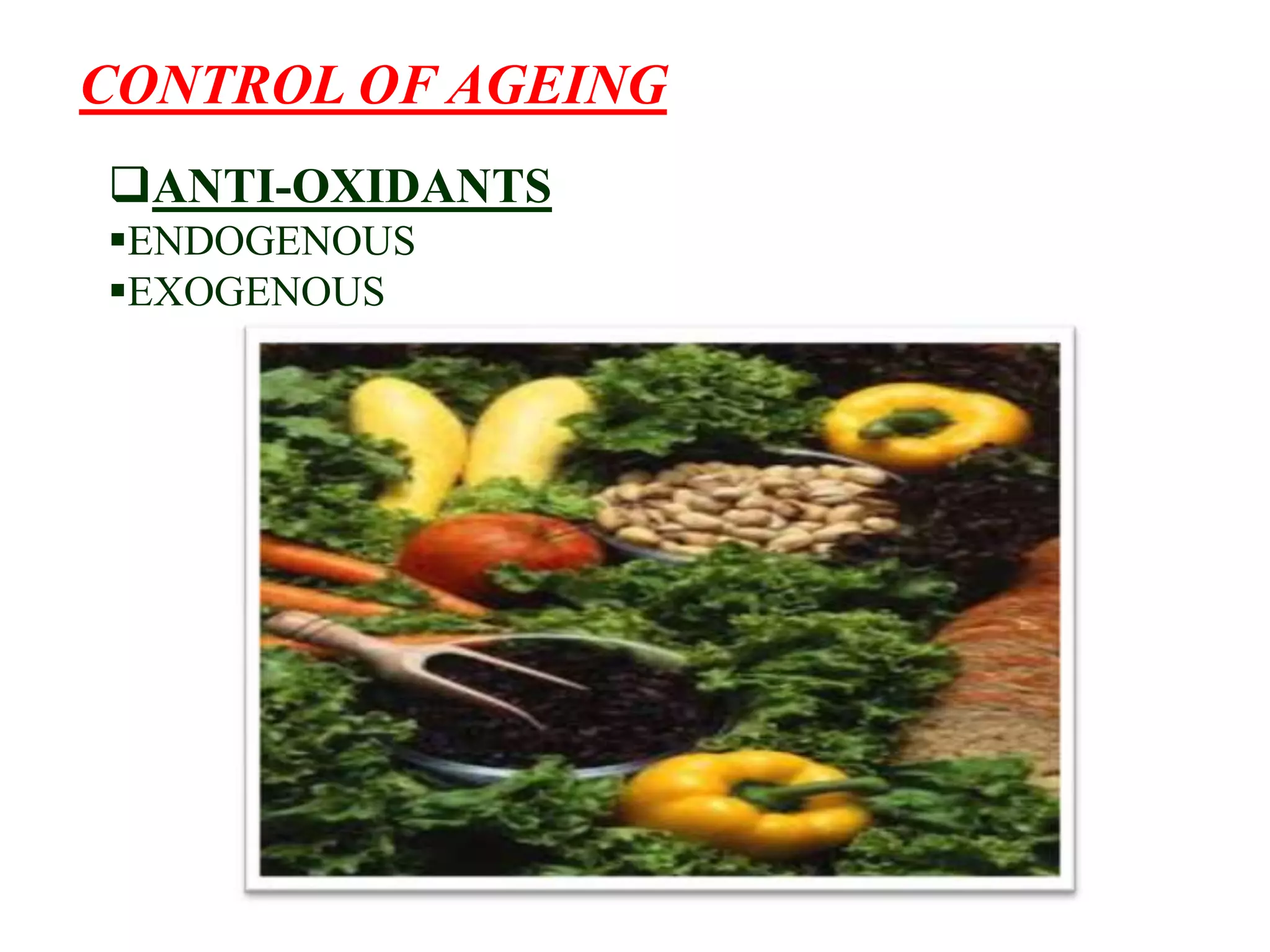 Human ageing process | PPTX