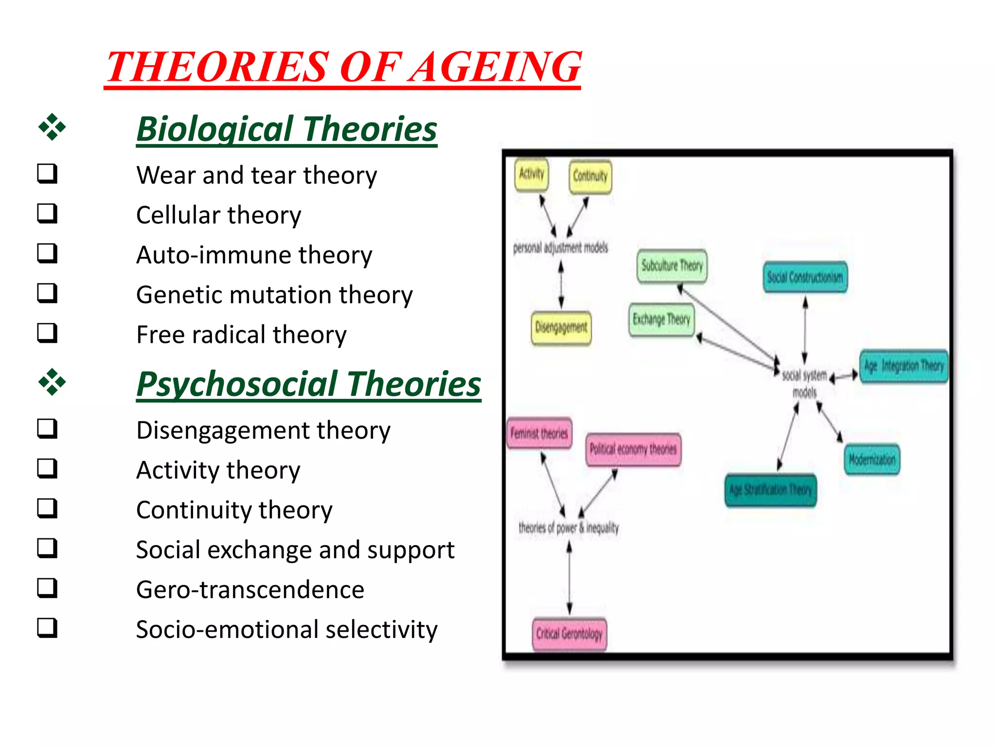 Human ageing process | PPTX