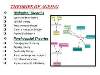 Human ageing process | PPTX