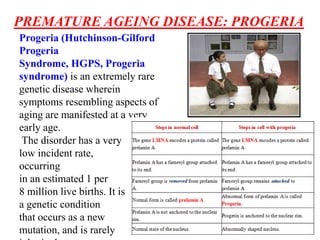 Human ageing process | PPTX