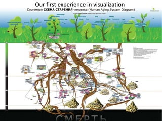 Human Aging System Diagram | PPTX