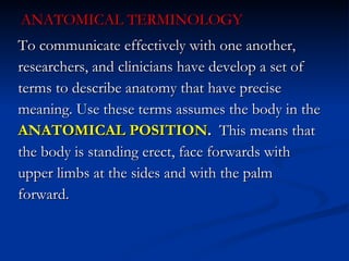 Human Anatomy | PPT