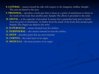 Human Anatomy | PPT