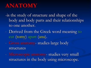 Human Anatomy | PPT