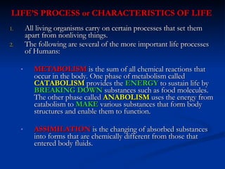Human Anatomy | PPT