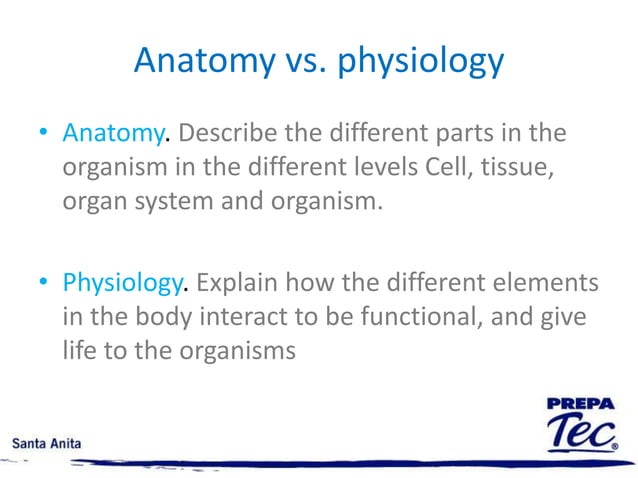Human Anatomy | PPT