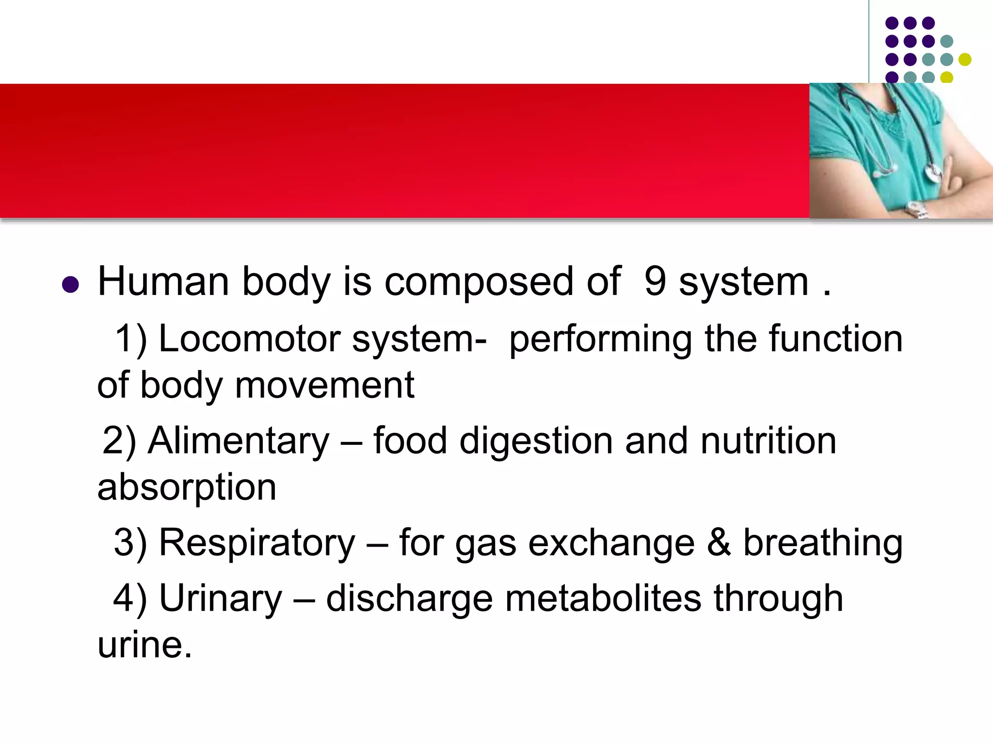 Human anatomy introduction | PPTX | Biological Sciences | Science