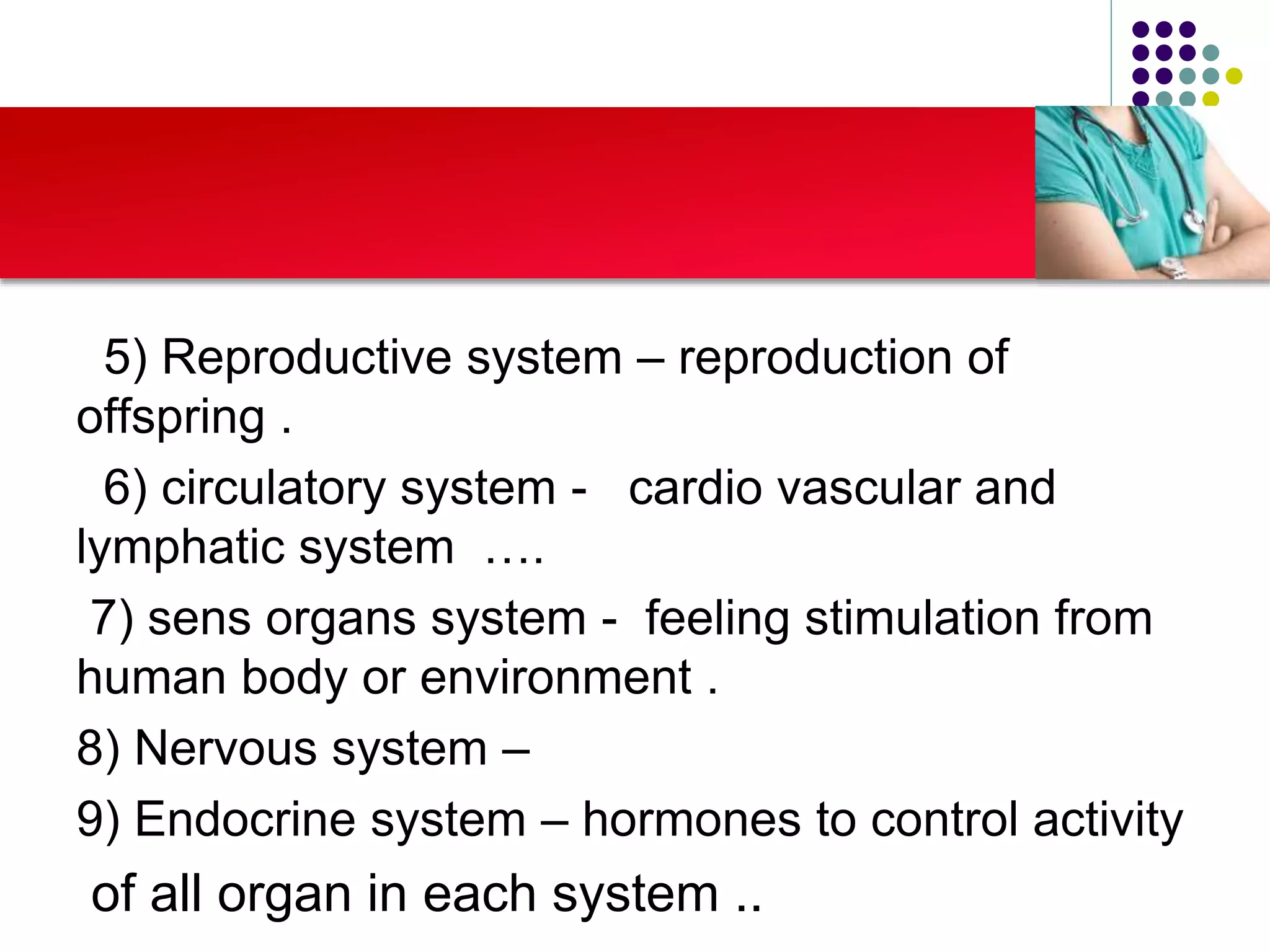 Human anatomy introduction | PPTX | Biological Sciences | Science