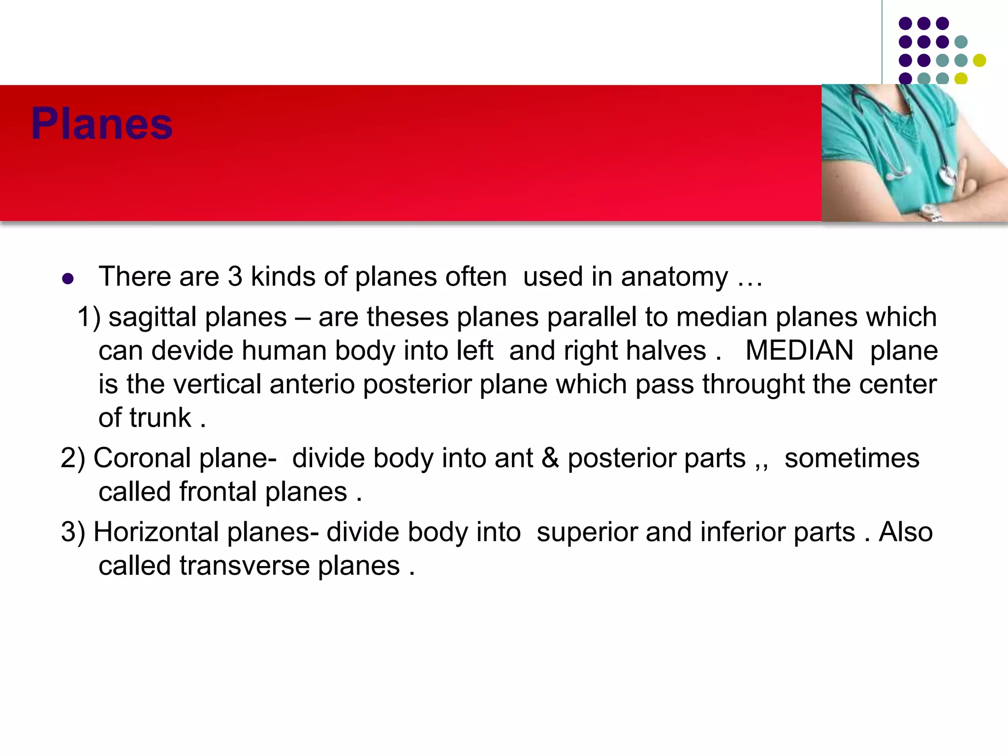 Human anatomy introduction | PPTX