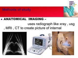 Human anatomy introduction | PPTX