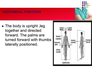 Human anatomy introduction | PPTX